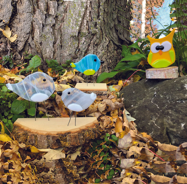 Creativity In Glass Designs – creativityinglassdesigns.ca