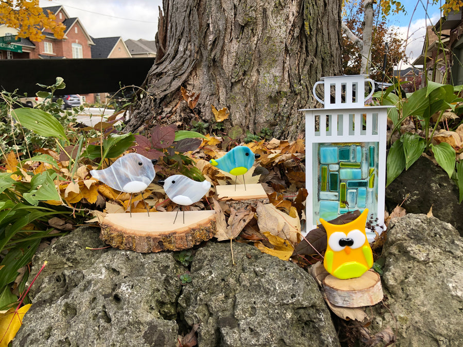 Creativity In Glass Designs – creativityinglassdesigns.ca